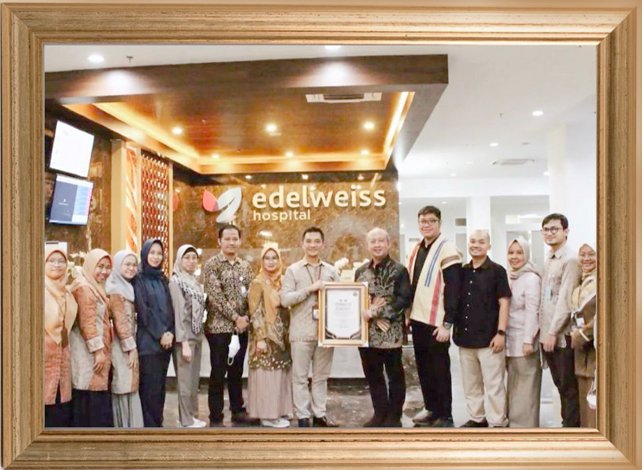 Edelweiss Healthcare Group